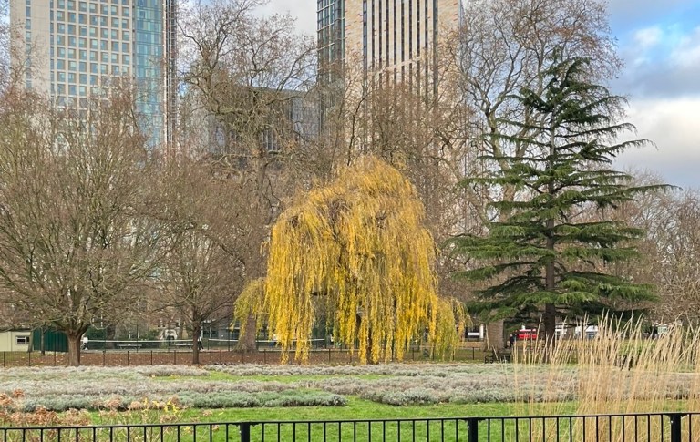 London Park to Park – Get to know London by walking its parks