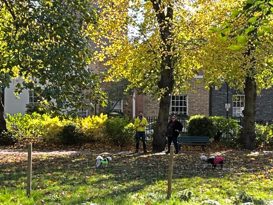 London Park to Park – Get to know London by walking its parks