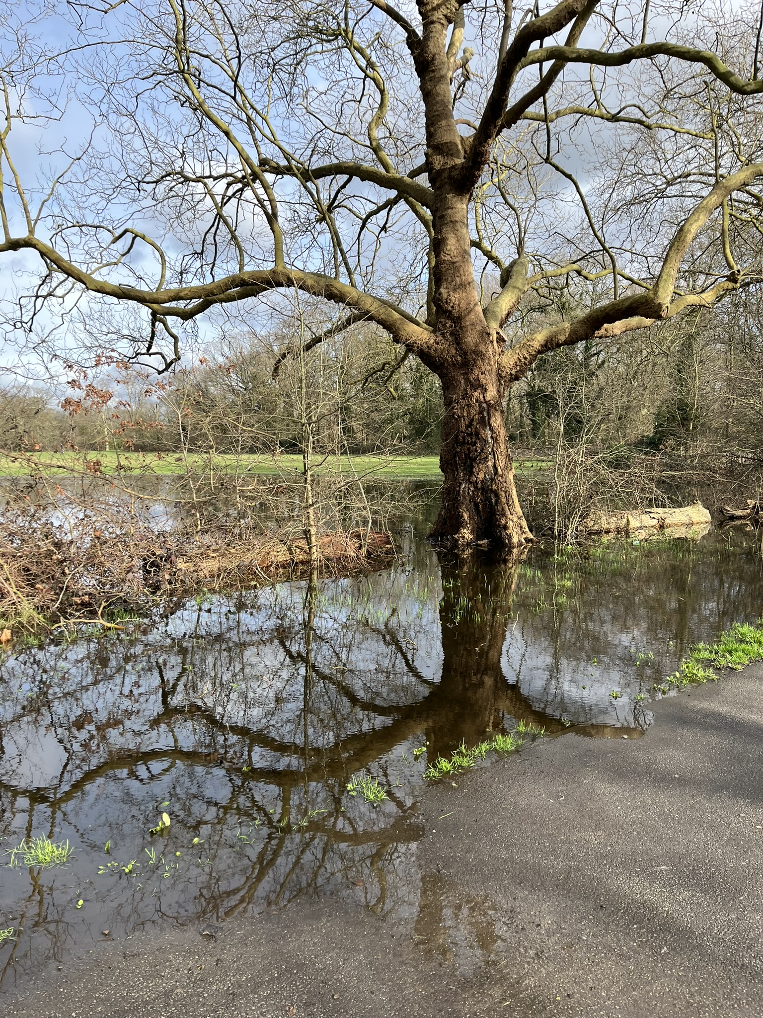 Tooting & Streatham Commons and Norbury Park – London Park to Park