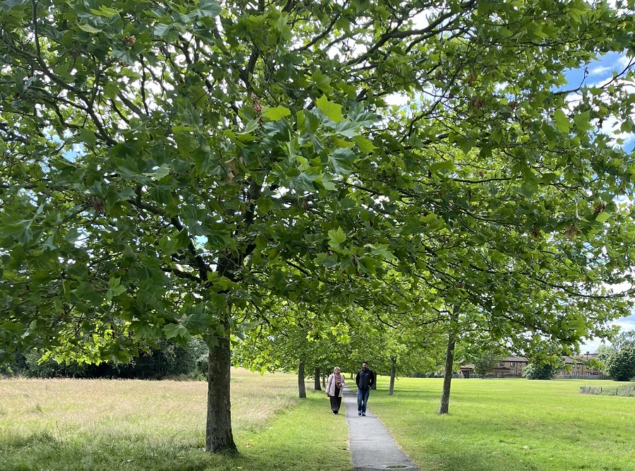 London Park to Park – Get to know London by walking its parks