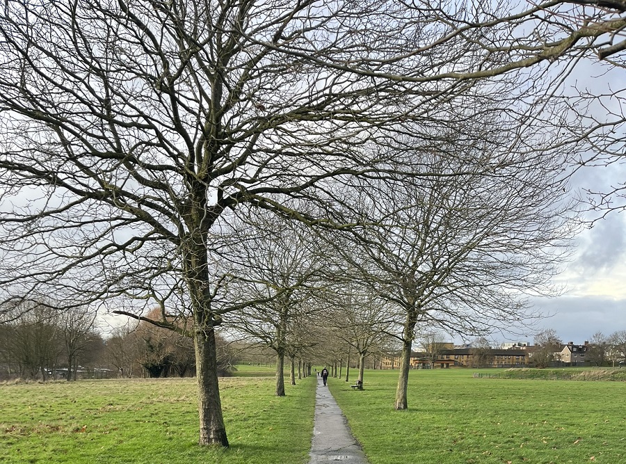 London Park to Park – Get to know London by walking its parks