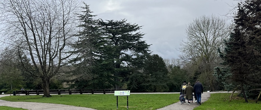 Tooting & Streatham Commons and Norbury Park – London Park to Park