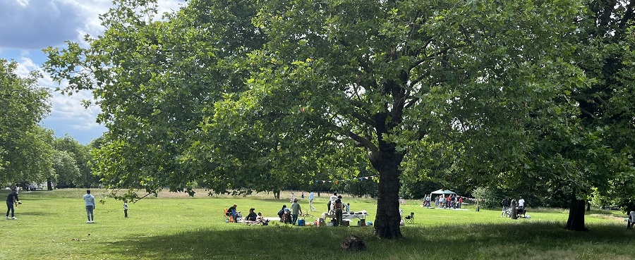 London Park to Park – Get to know London by walking its parks