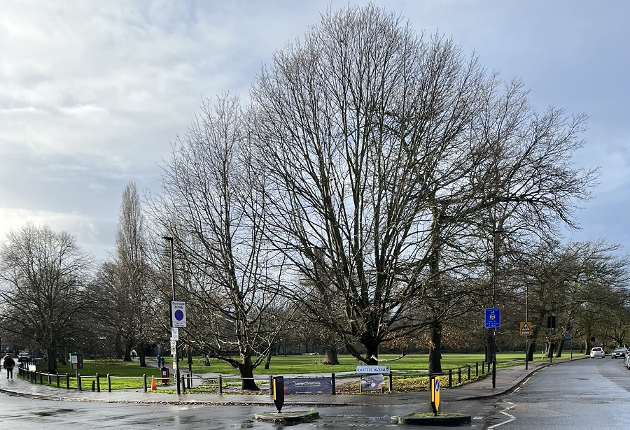 London Park to Park – Get to know London by walking its parks