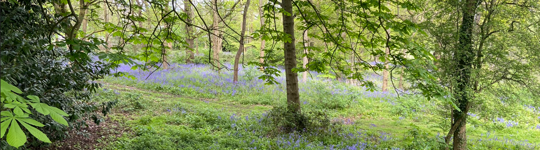 Index of Parks – London Park to Park