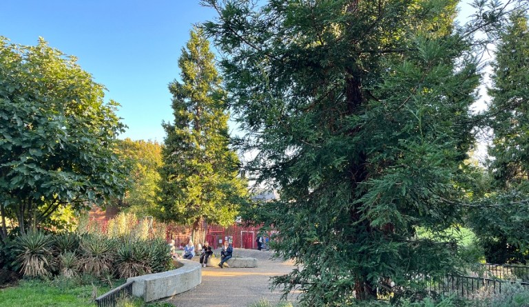 London Park to Park – Get to know London by walking its parks