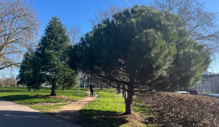 London Park to Park – Get to know London by walking its parks